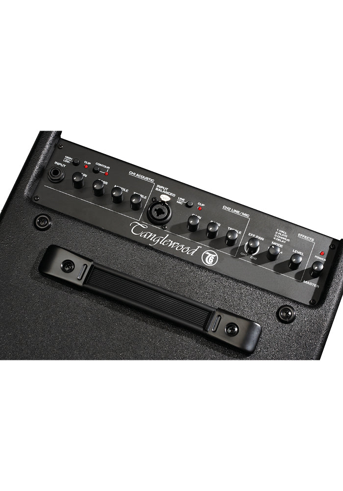 Tanglewood T6 60W Acoustic Guitar Amplifier – Moonflower Guitars Ltd